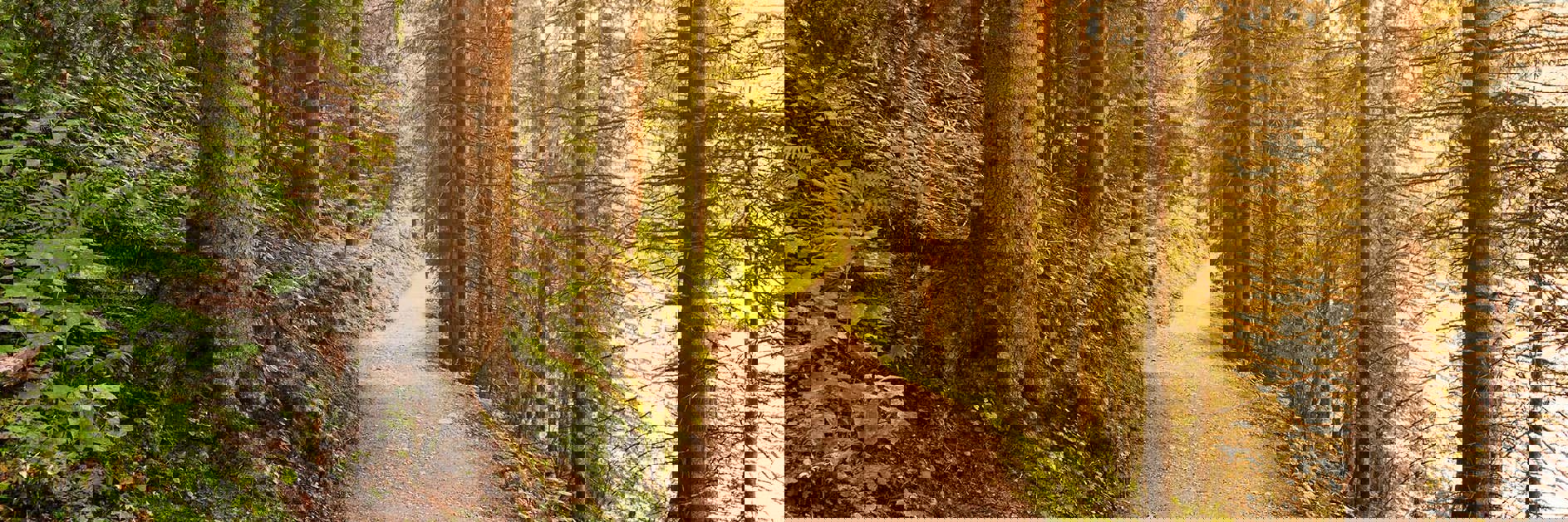 XRB publishes comparison document for NZ CS and IFRS S1 and S2